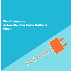 WooCommerce Automatic User Roles Switcher Plugin · Download for $25